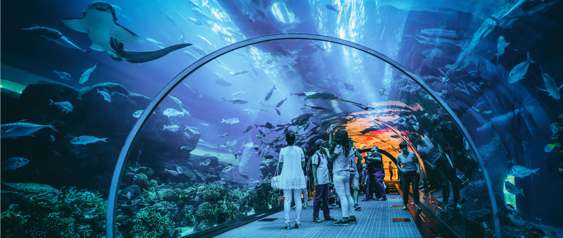 Dubai records 3% increase in tourists during H1 2019, at 8.36 million ...