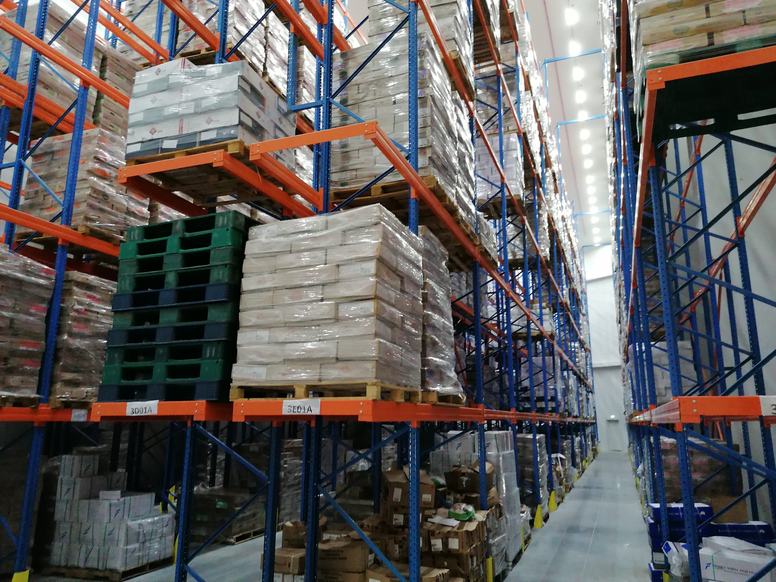 Coldroom Storage - Dubai | Insights | Cavendish Maxwell