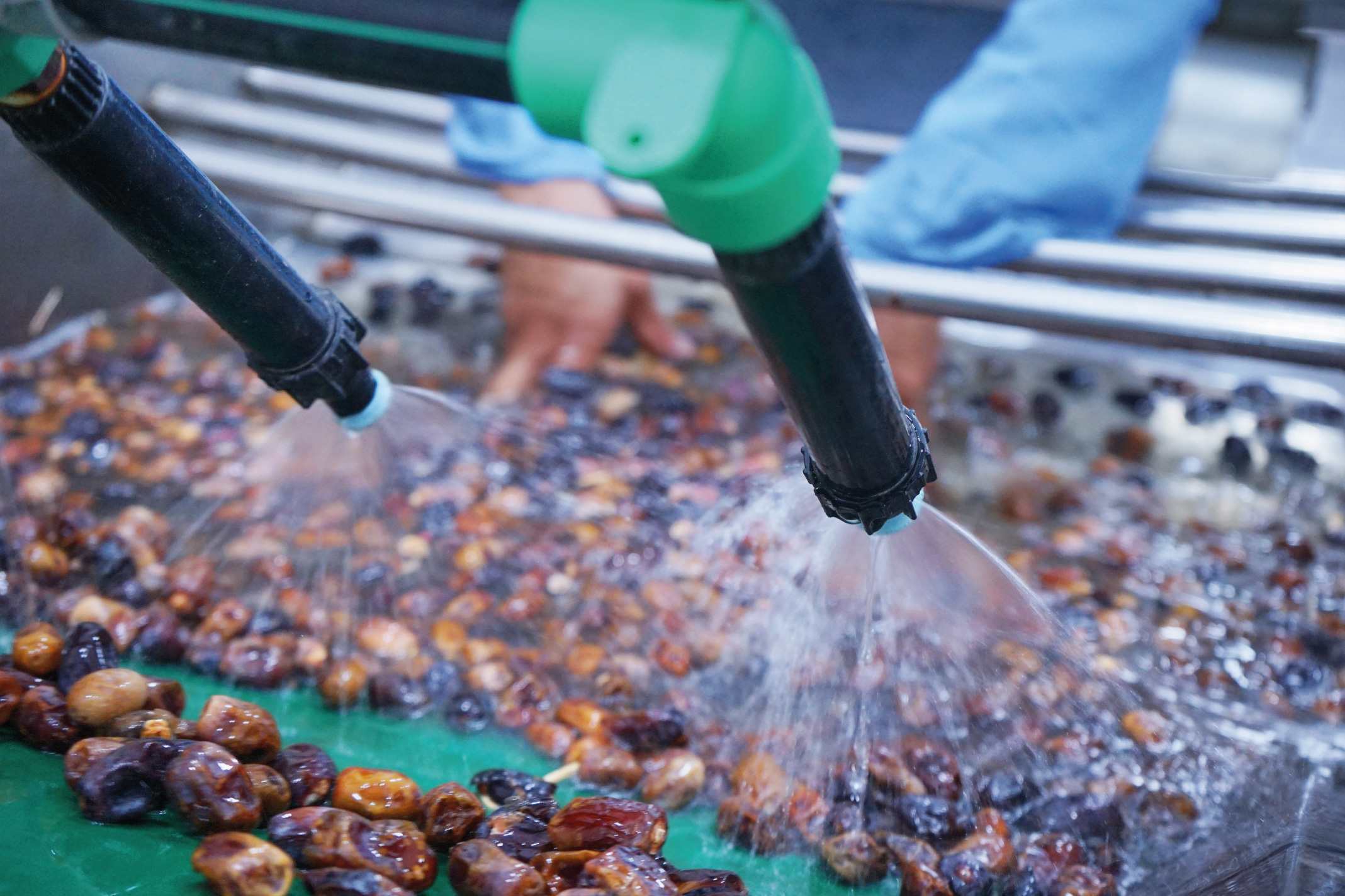 Date Company – Al Ain | Insights | Cavendish Maxwell